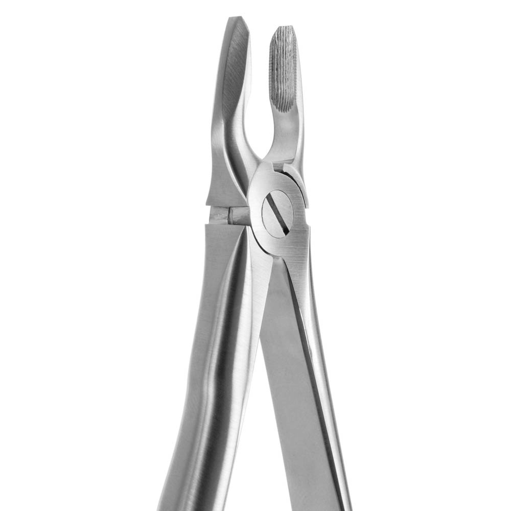 Forceps Davier for oral surgery and dentistry - Direct online sales